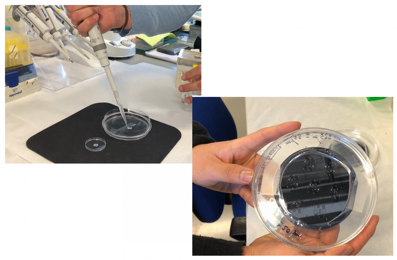 Vídeo de #DivulgaI3A «¿Qué es la microfluídica?» – M2be Multiscale in ...